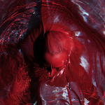 [News] Blackwater Holylight announce new album "Not Here Not Gone ...